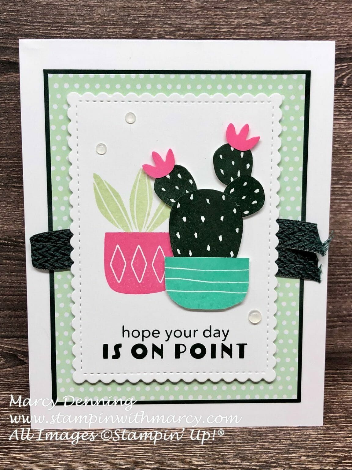 Cactus Cuties Bundle