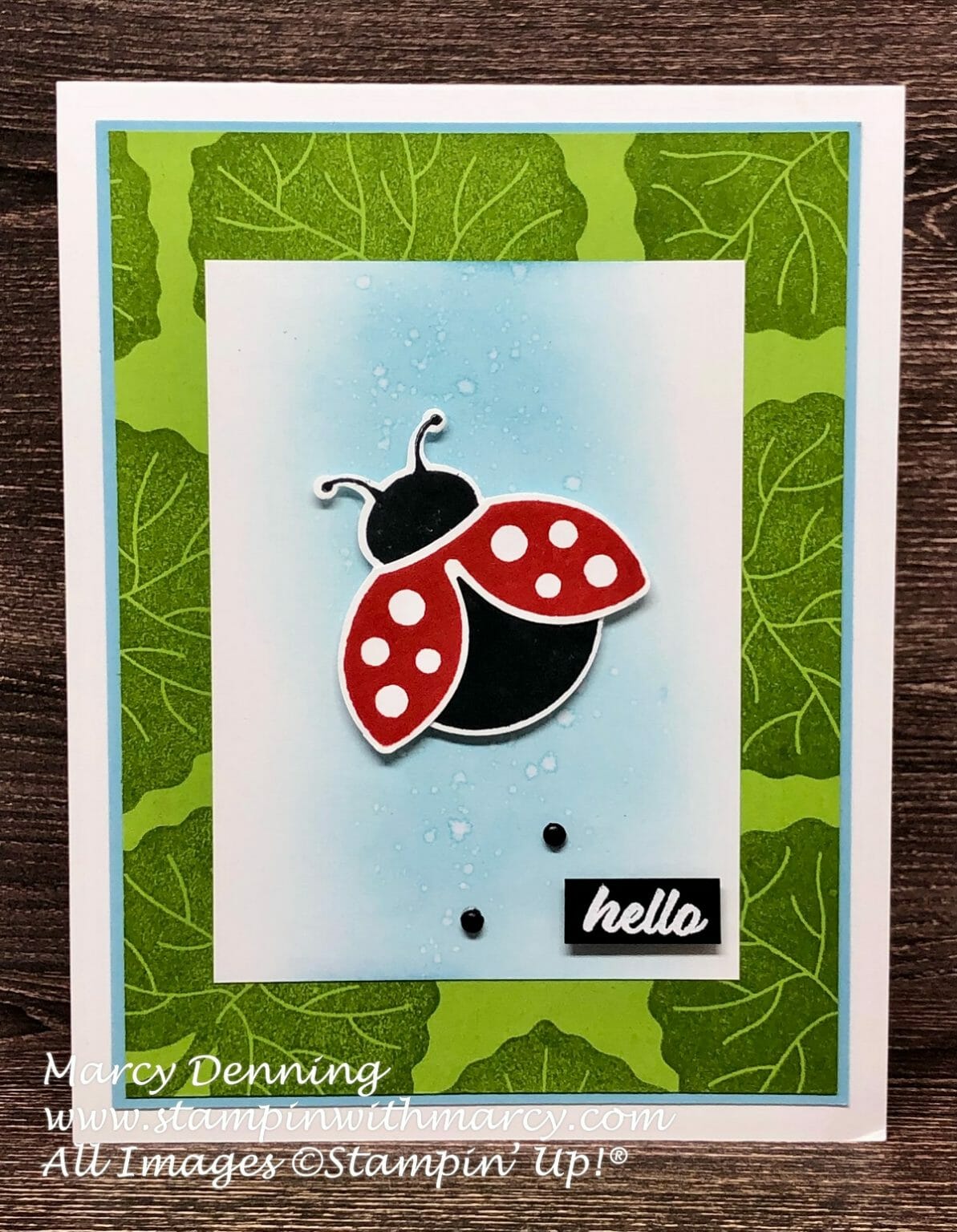 Hello Ladybug Bundle – Swap Card