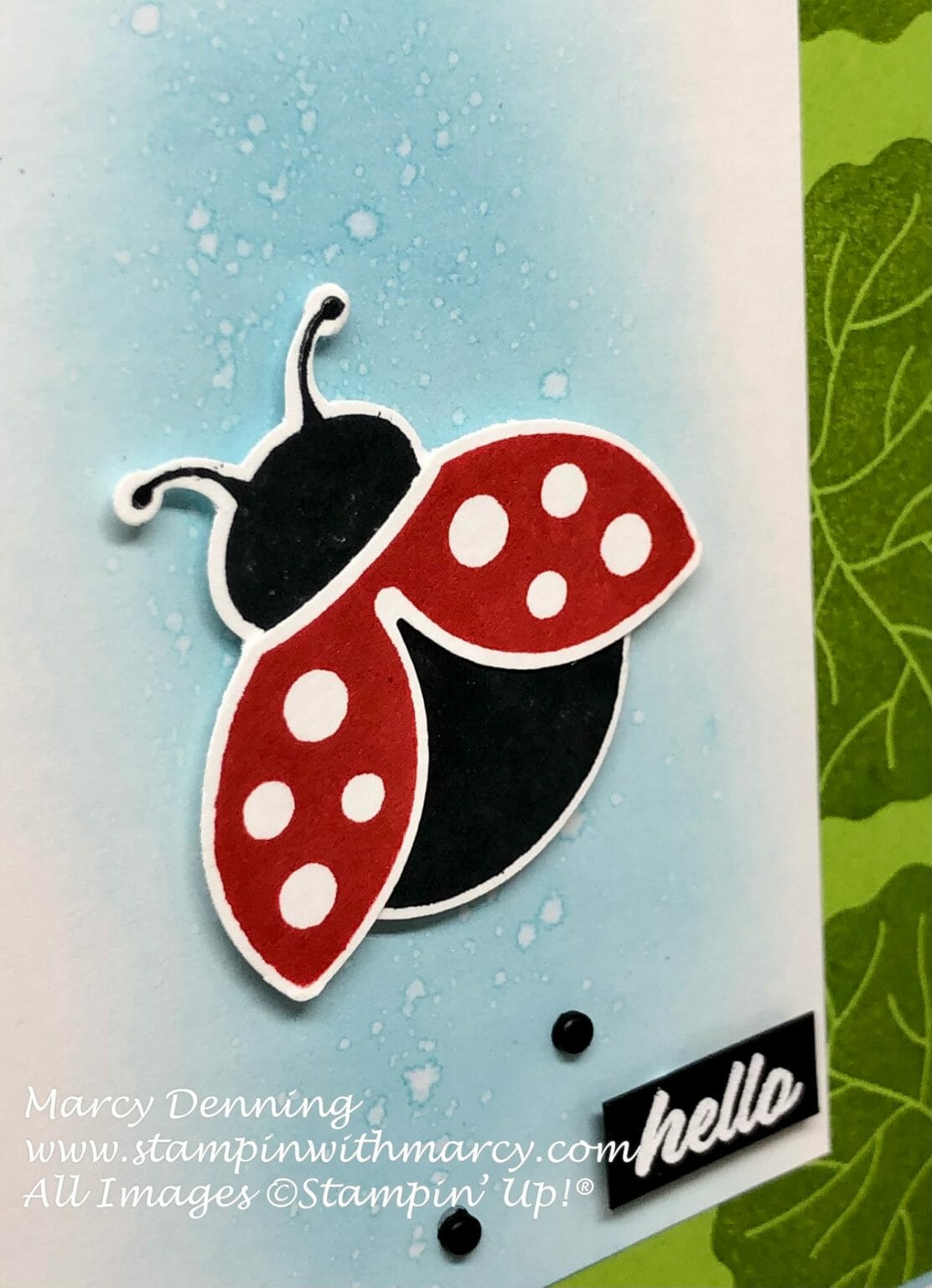 Hello Ladybug Bundle – Swap Card